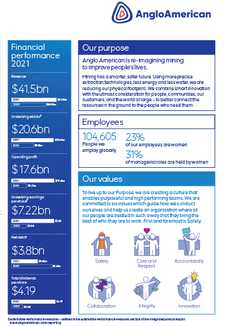 About Us | Anglo American Company Overview | Anglo American Singapore